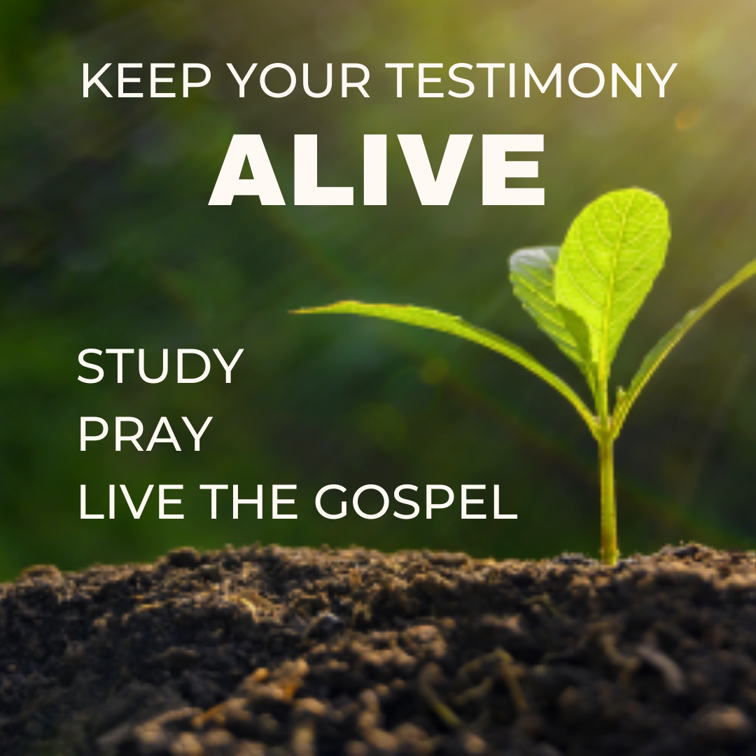 Asking Big Questions: How do I keep my Testimony? | FAIR